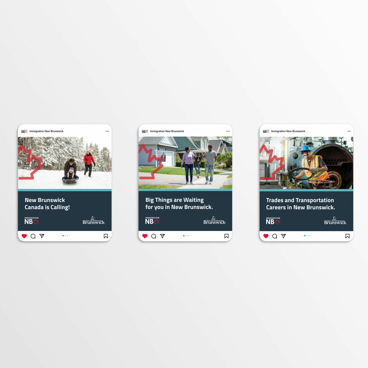 Immigration NB - The Details Design