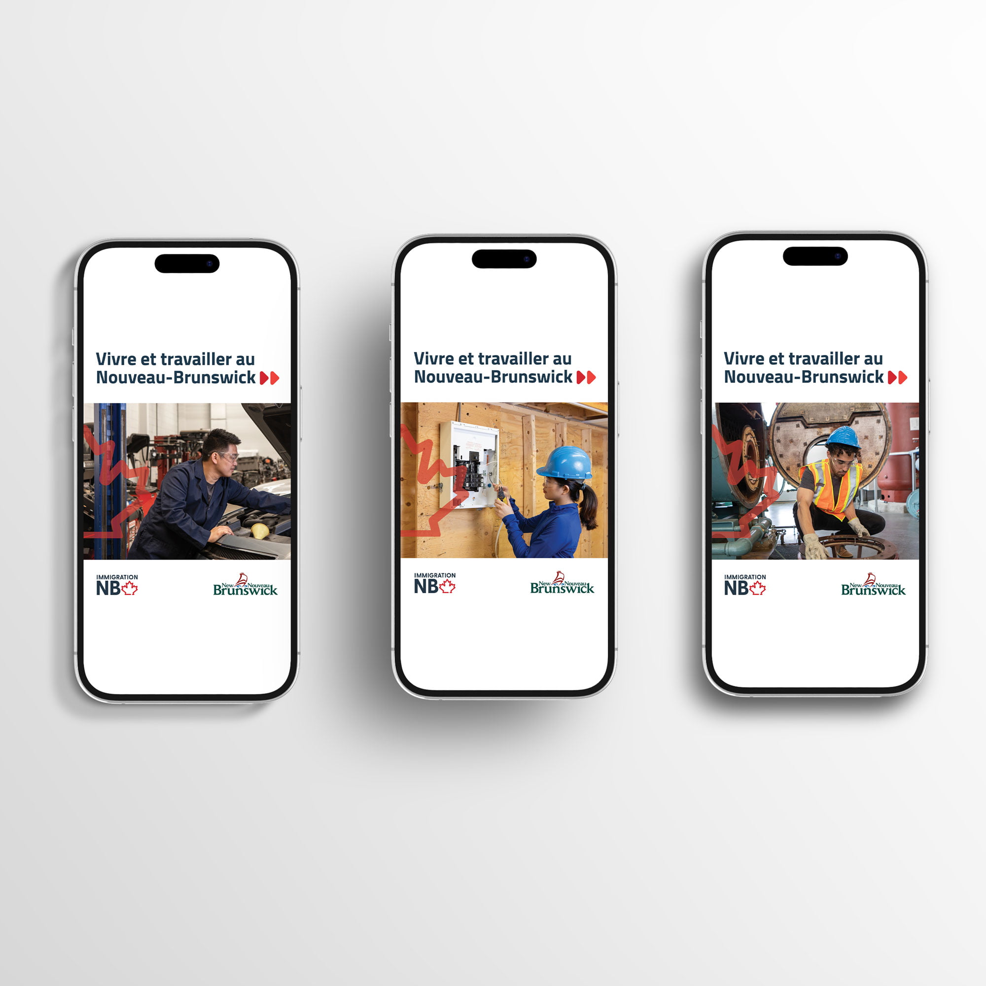 Immigration NB - The Details Design